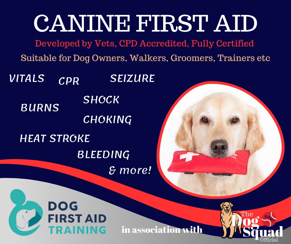 Whats On for Dogs Kent, Doggy What's On Kent | Dog Advisor Kent