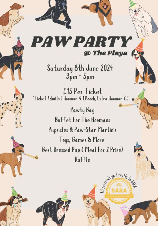 Whats On for Dogs Kent, Doggy What's On Kent | Dog Advisor Kent