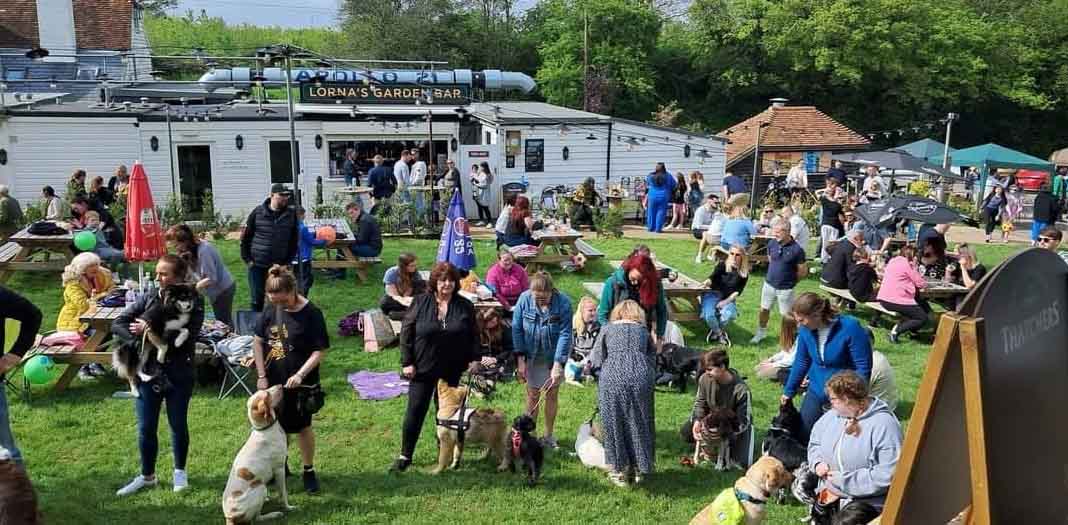 Whats On for Dogs Kent, Doggy What's On Kent | Dog Advisor Kent