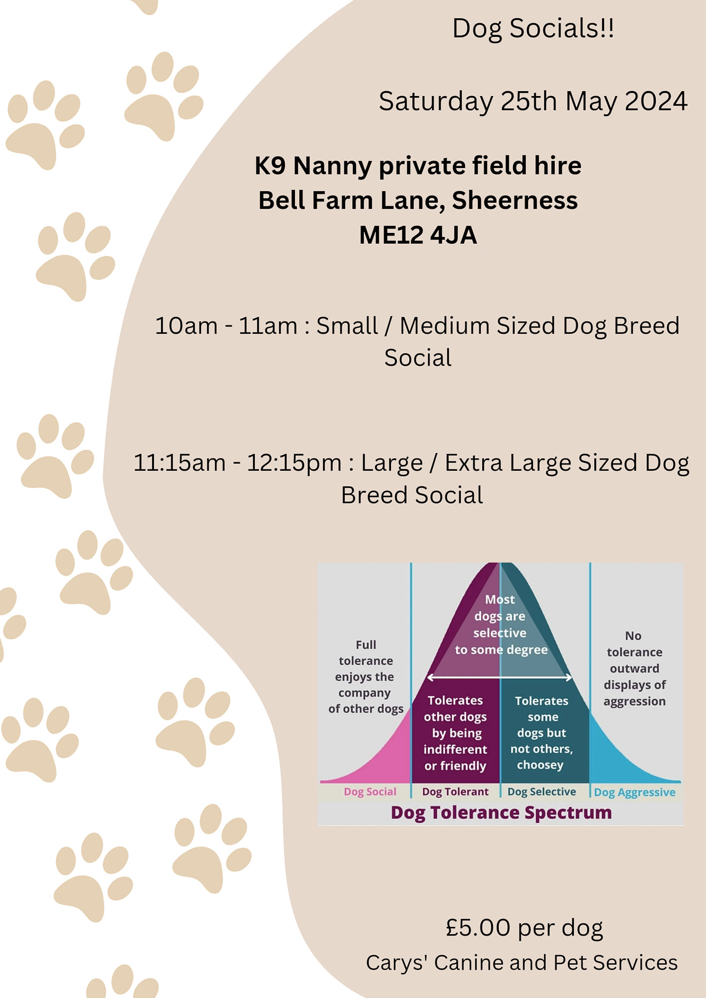 Whats On for Dogs Kent, Doggy What's On Kent | Dog Advisor Kent