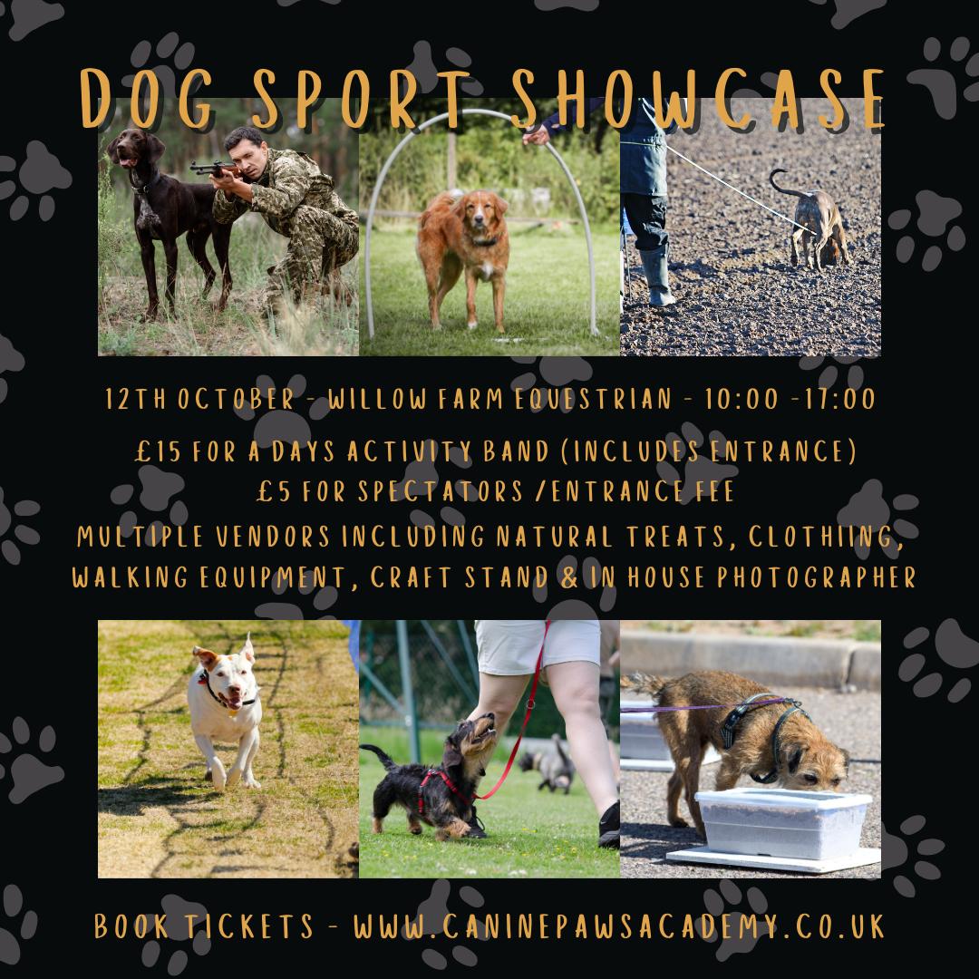 Whats On for Dogs Kent, Doggy What's On Kent | Dog Advisor Kent