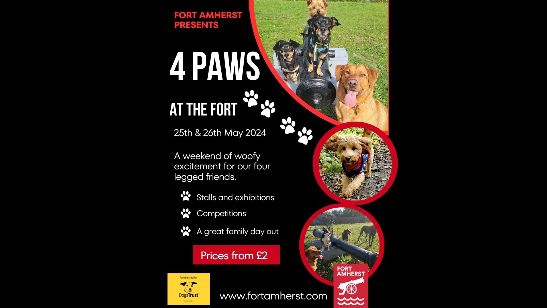 Whats On for Dogs Kent, Doggy What's On Kent | Dog Advisor Kent