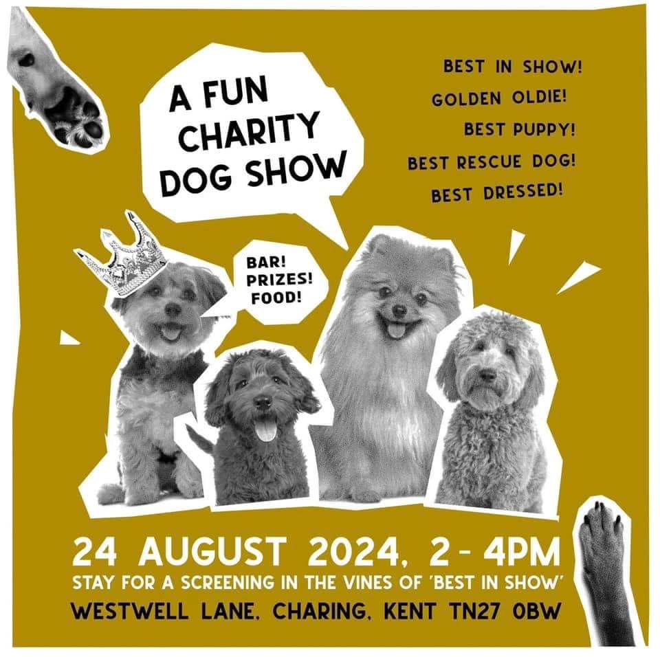 Whats On for Dogs Kent, Doggy What's On Kent | Dog Advisor Kent