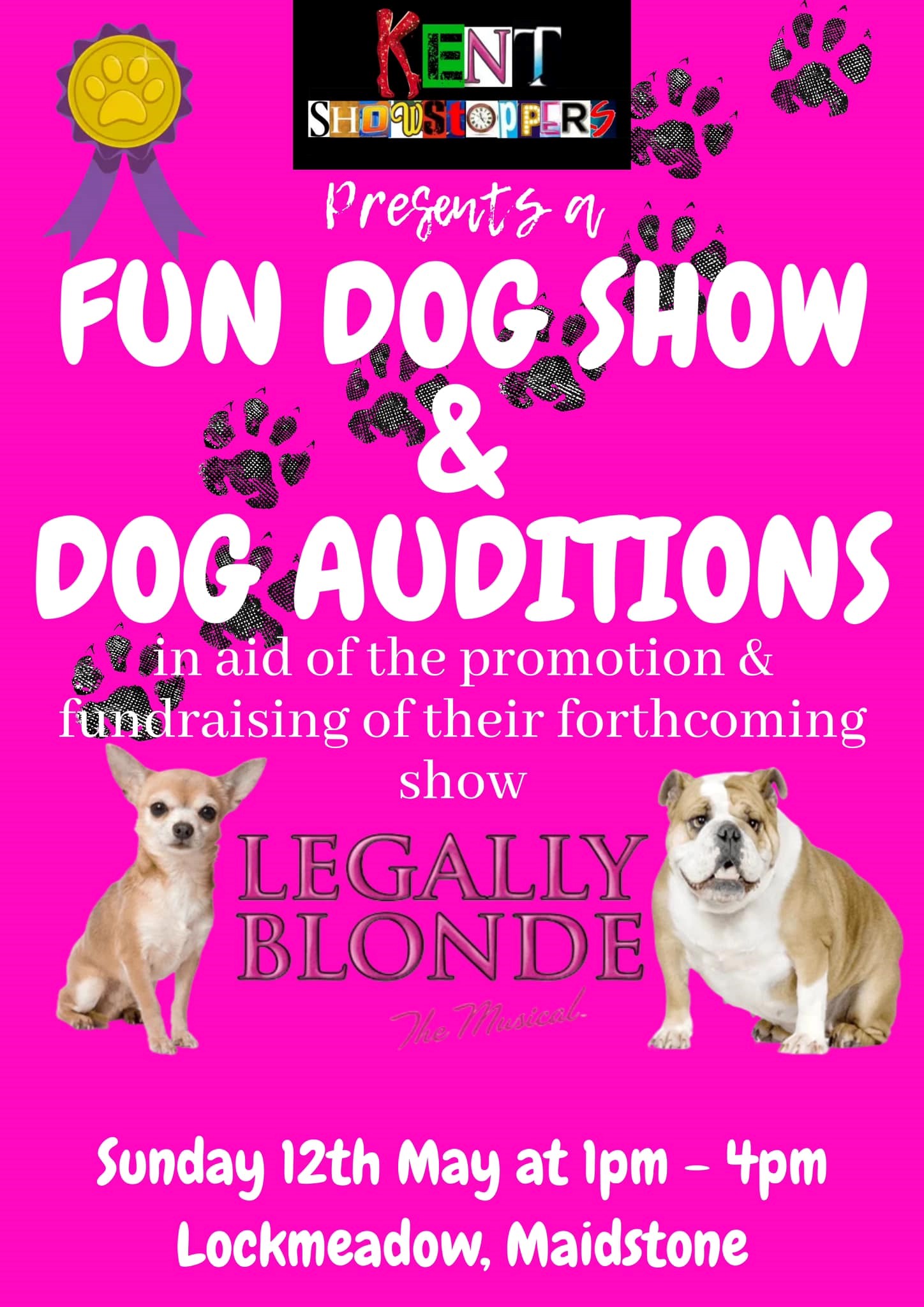 Whats On for Dogs Kent, Doggy What's On Kent | Dog Advisor Kent